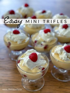 Easy Individual Mini Trifle Recipe - Life is a Party