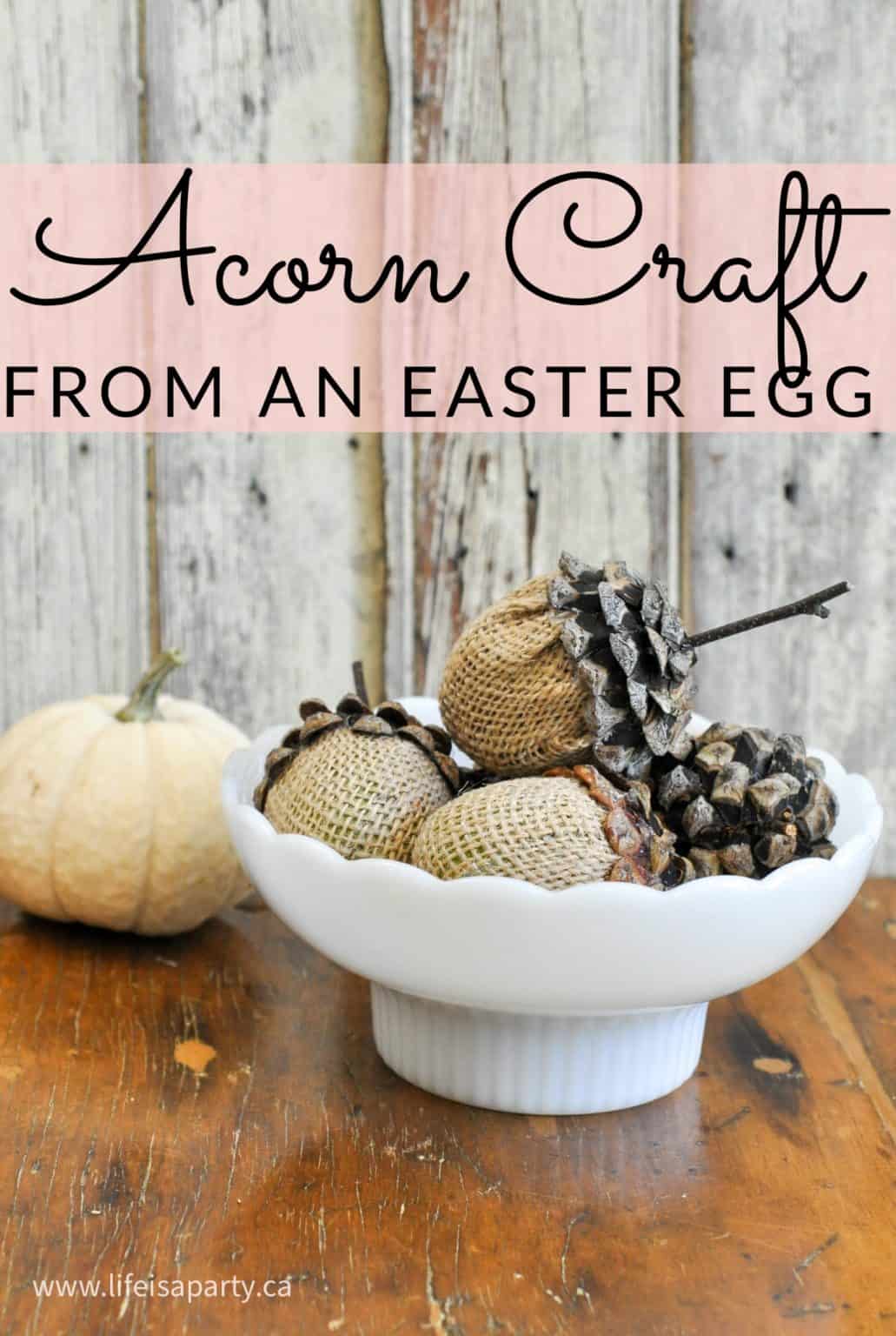 Acorn Craft Made From An Easter Egg