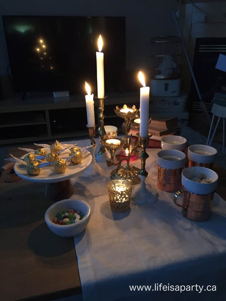 Harry Potter Family Movie Night - Life is a Party