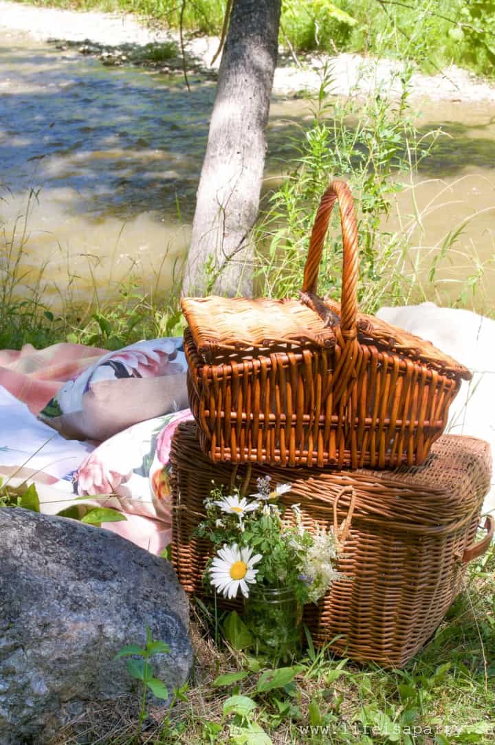 What To Bring On A Picnic - Life is a Party