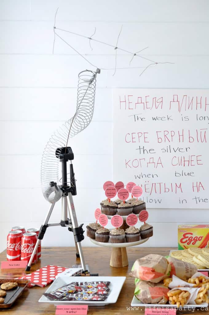 Stranger Things Party Ideas - Life is a Party