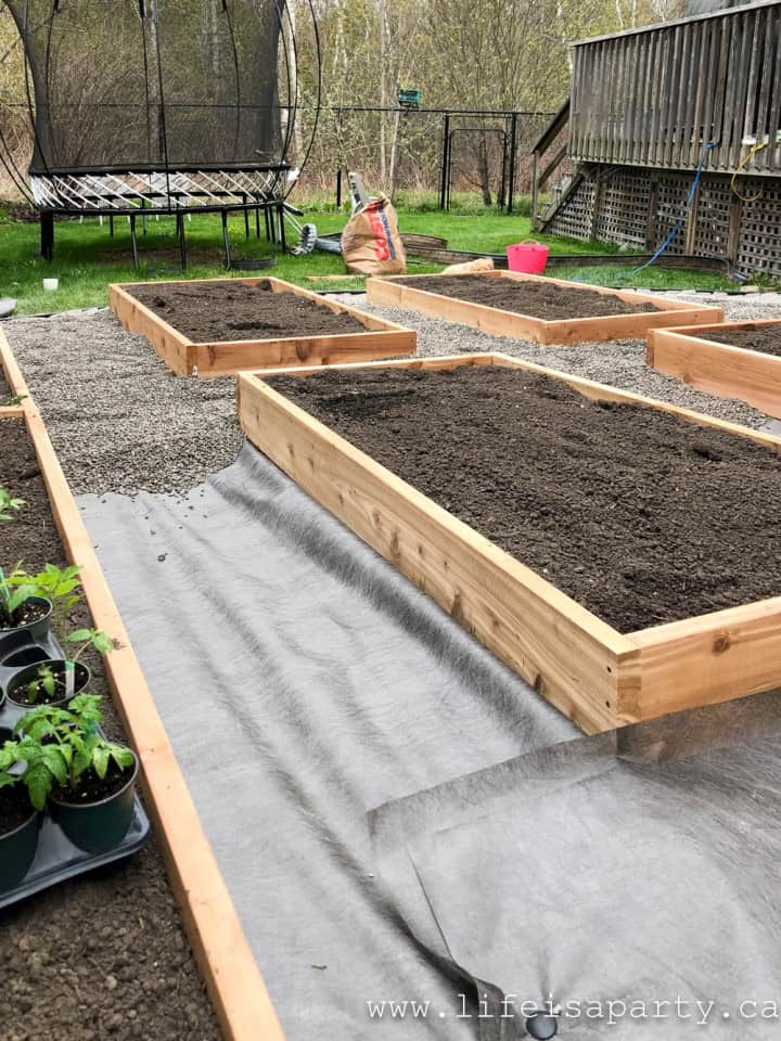 How To Make A Potager Garden - Life is a Party