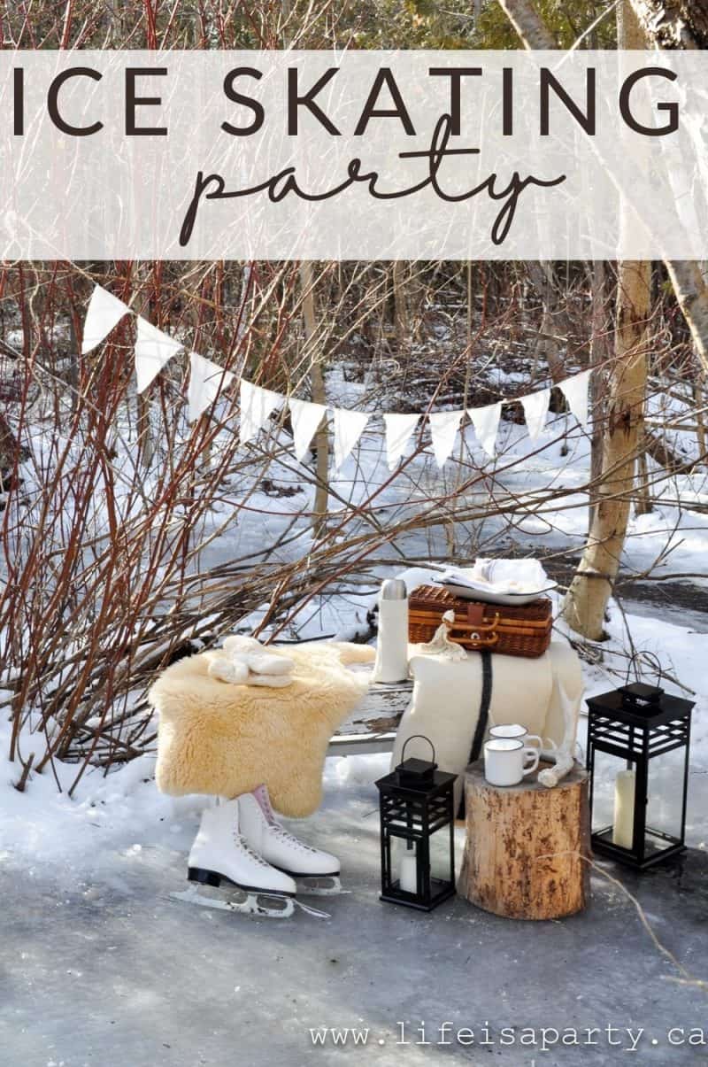 Winter Ice Skating Party - Life is a Party