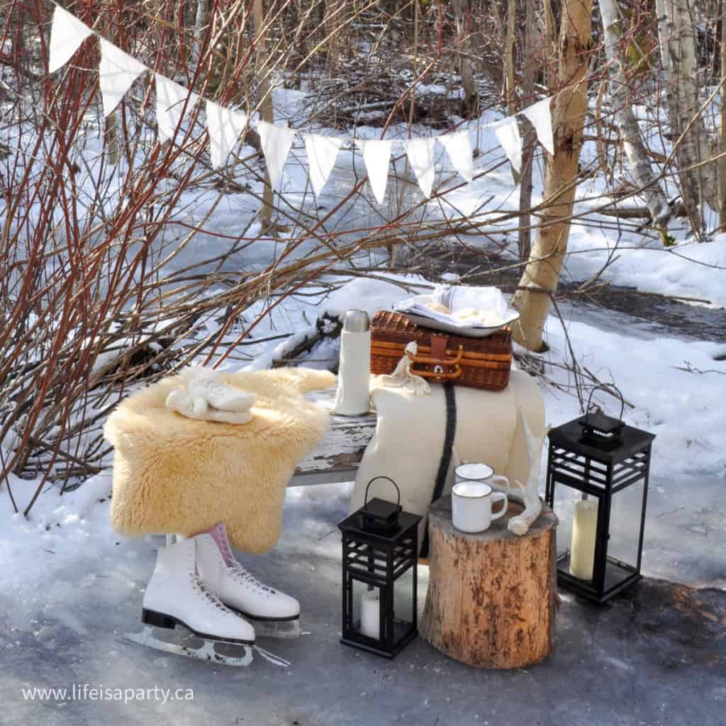 Winter Ice Skating Party Ideas - Life is a Party