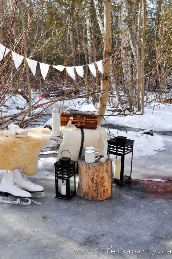 Winter Ice Skating Party Ideas - Life is a Party