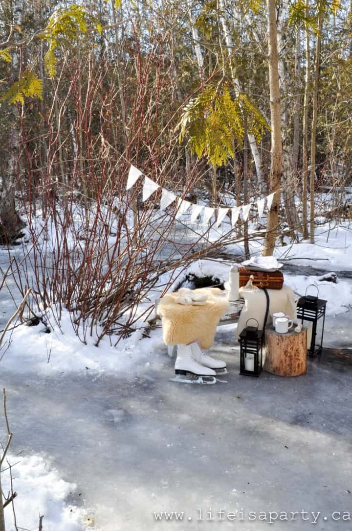 Winter Ice Skating Party Ideas - Life is a Party