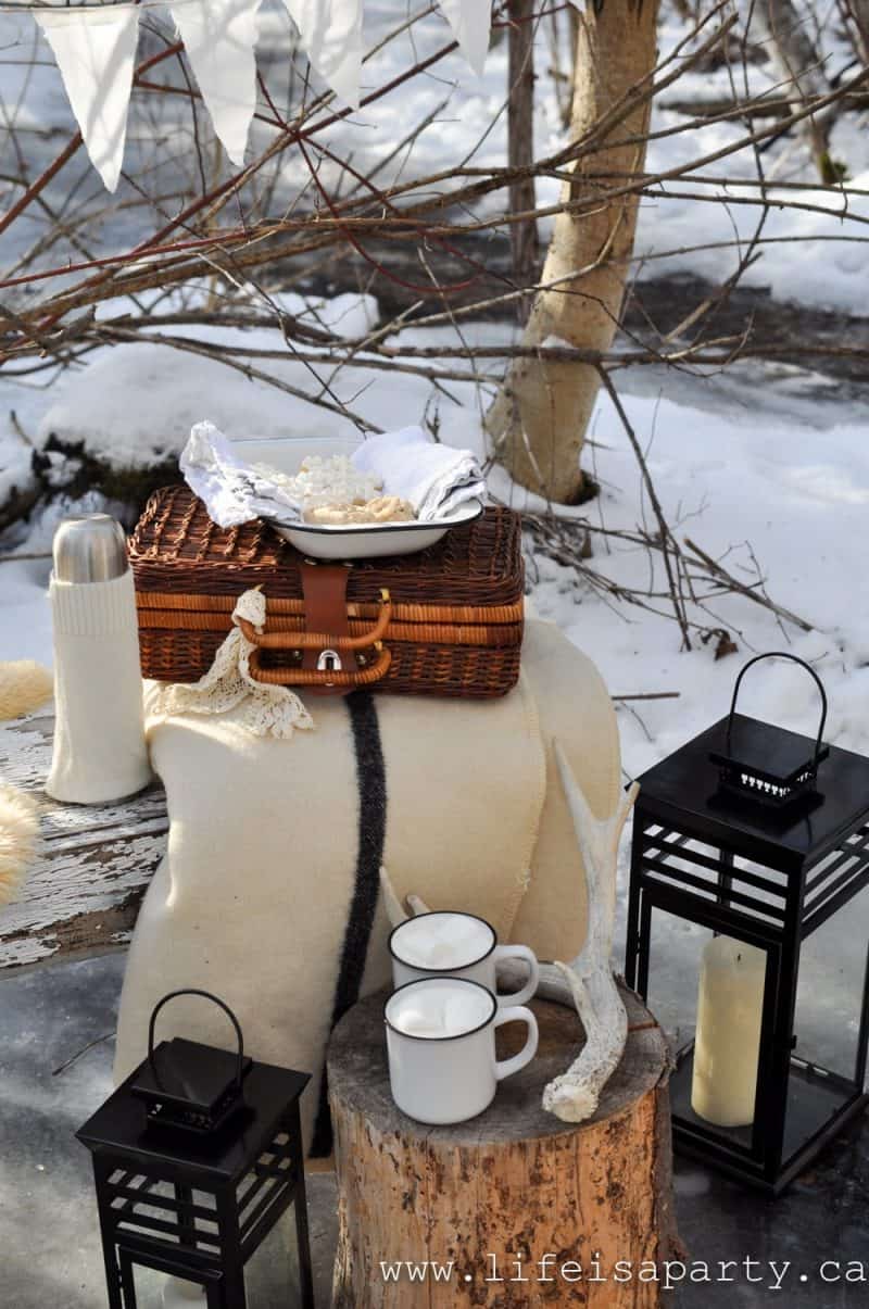 Winter Ice Skating Party Ideas - Life is a Party