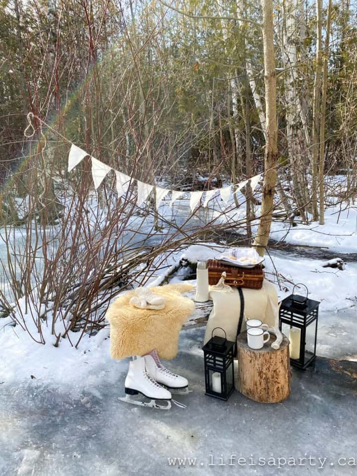 Winter Ice Skating Party Ideas - Life is a Party