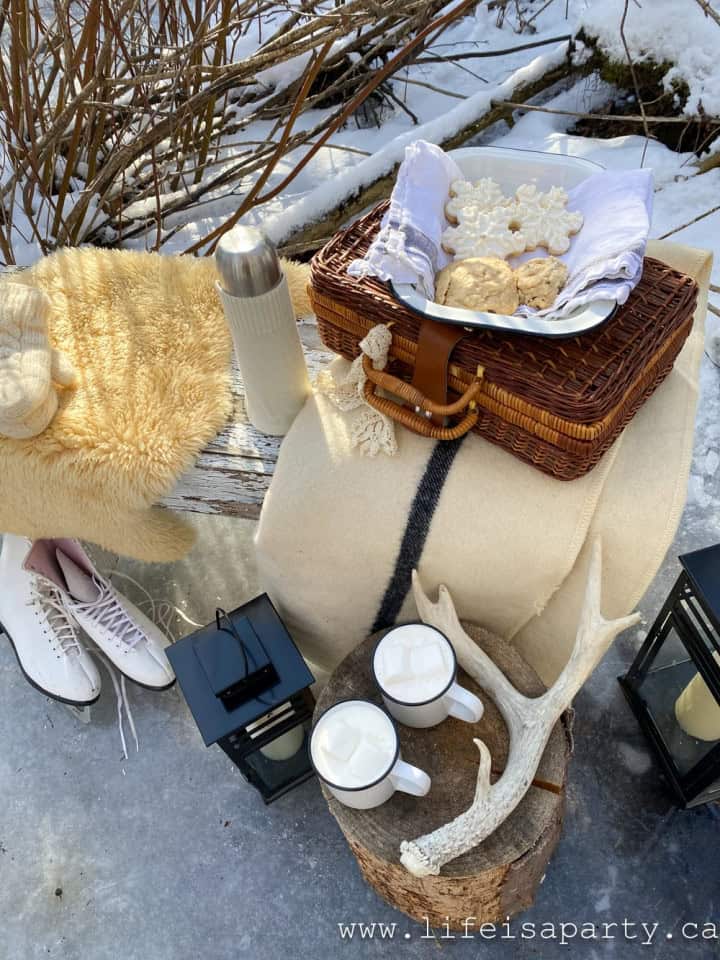 Winter Ice Skating Party Ideas - Life is a Party