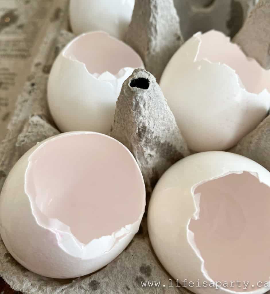 Easy DIY Eggshell Planters - Life is a Party
