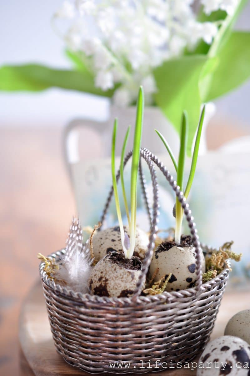 Easy DIY Eggshell Planters - Life is a Party