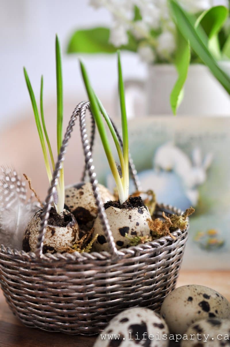 Easy DIY Eggshell Planters - Life is a Party