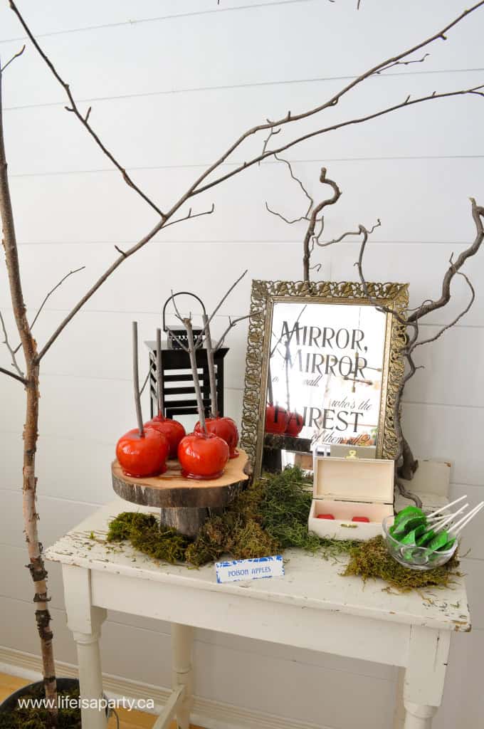 Snow White Party Decor -DIY Mirror, Mirror - Life is a Party