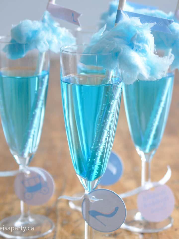 Swamp Water Punch - Life is a Party