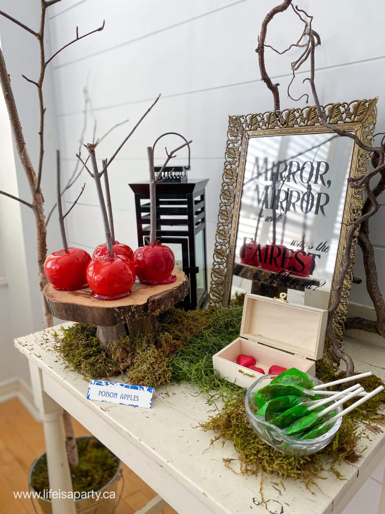 Snow White Party -Dinner and A Movie - Life is a Party