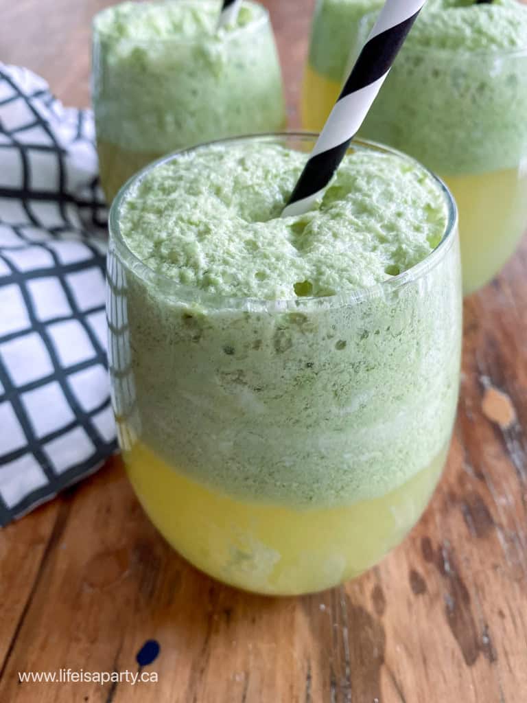 Swamp Water Punch - Life is a Party