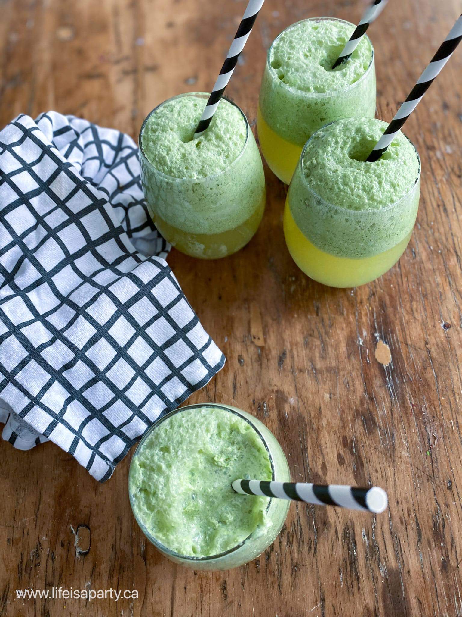 Swamp Water Punch - Life is a Party