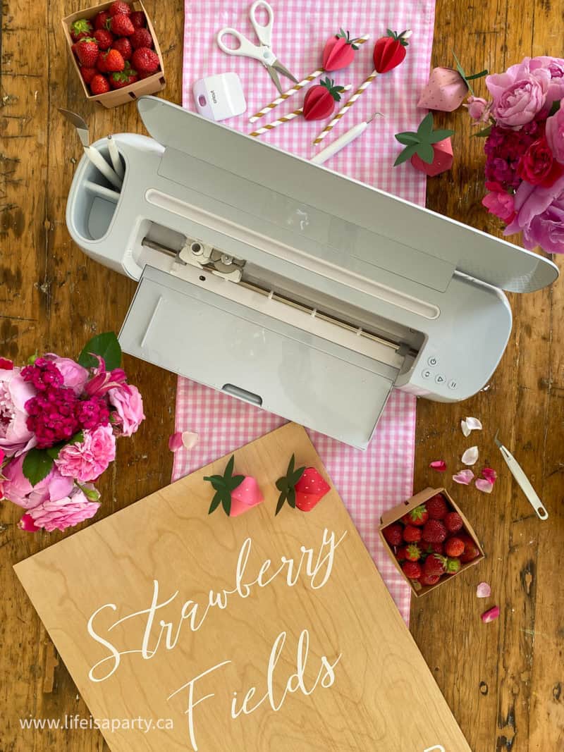Sweet Strawberry Theme Party - Life is a Party