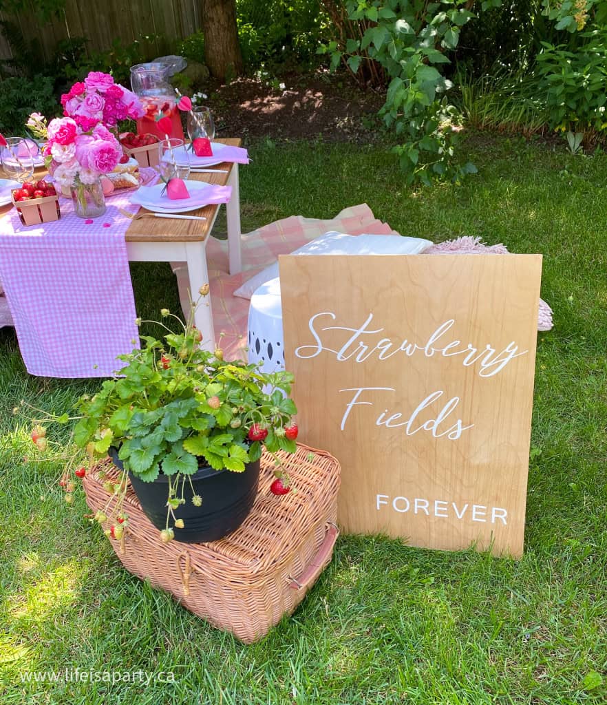 Sweet Strawberry Theme Party - Life is a Party