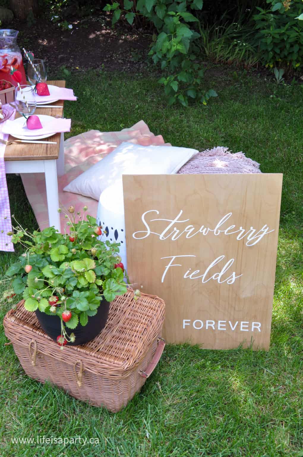 Sweet Strawberry Theme Party - Life is a Party