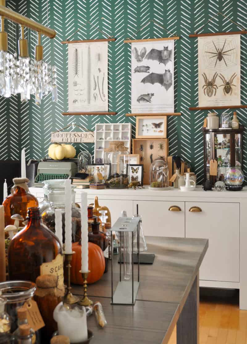 Harry Potter DIY Decor and Free Printables - Life is a Party