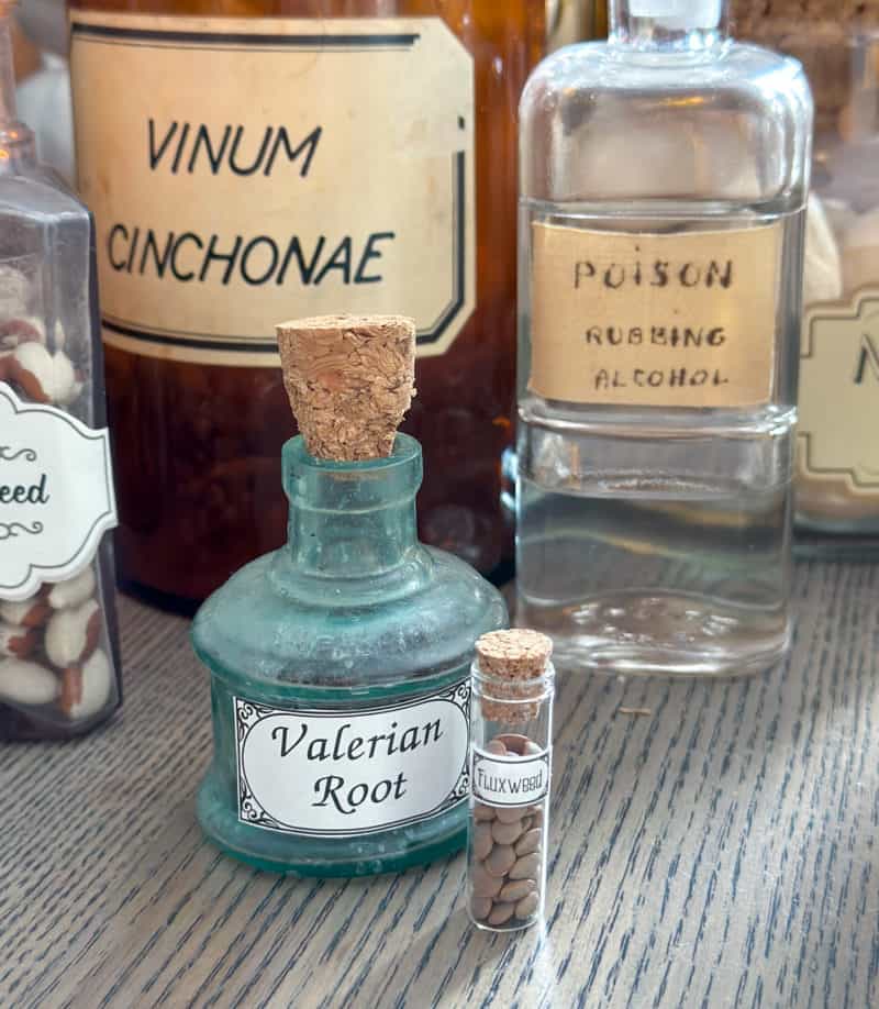 Harry Potter DIY Decor and Free Printables - Life is a Party