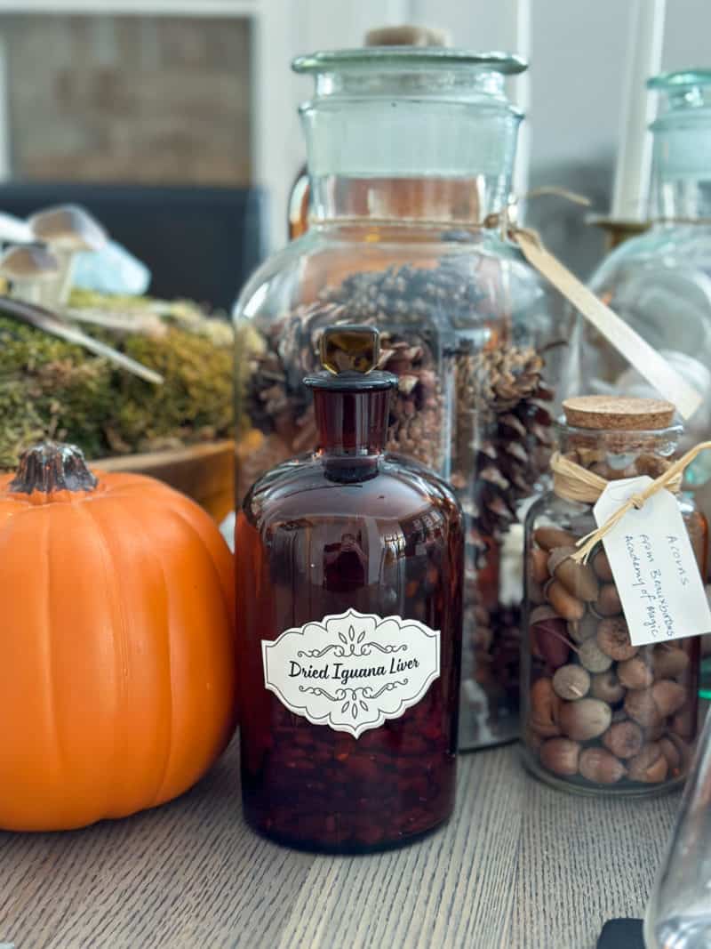 Harry Potter DIY Decor and Free Printables - Life is a Party