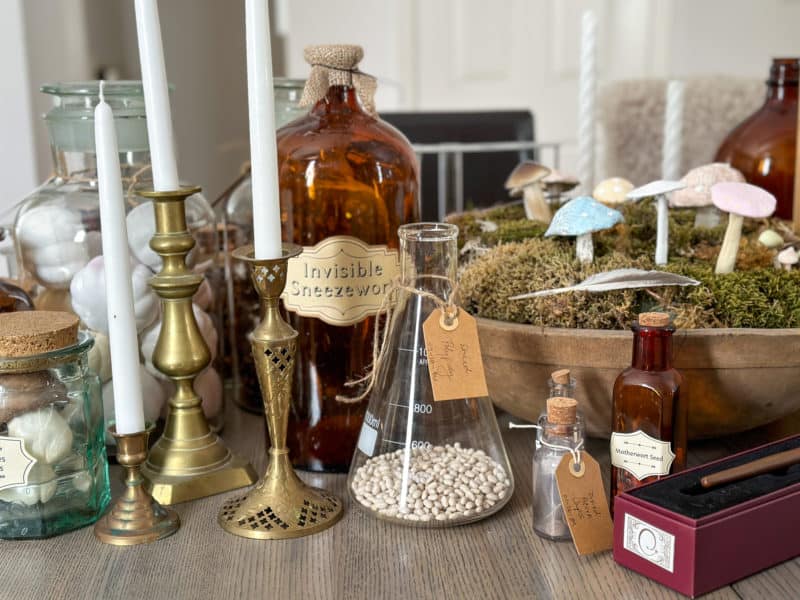 Harry Potter DIY Decor and Free Printables - Life is a Party