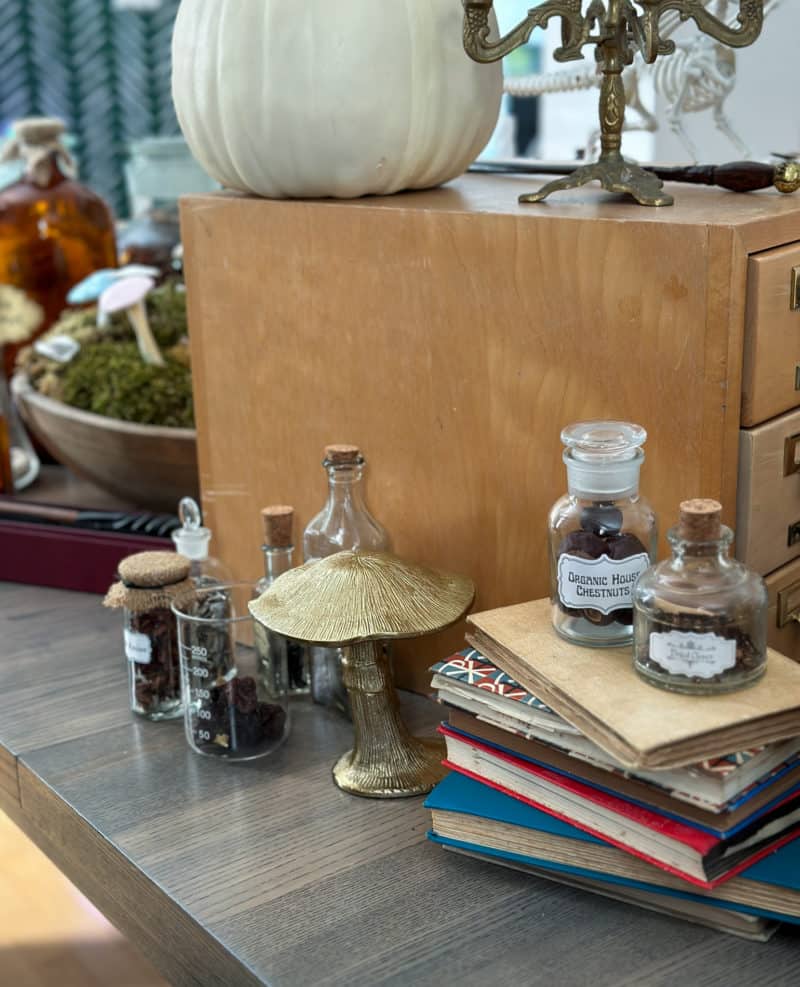 Harry Potter DIY Decor and Free Printables - Life is a Party