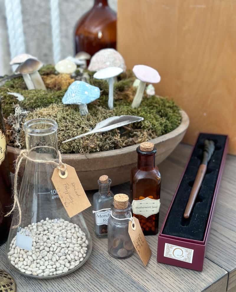 Harry Potter DIY Decor and Free Printables - Life is a Party