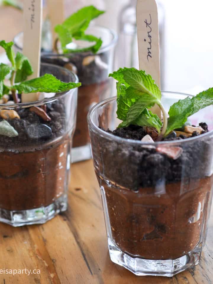 Easy Individual Mini Trifle Cups Recipe - Life is a Party