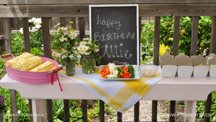 The Best Birthday Party Home Decoration Ideas - Life is a Party