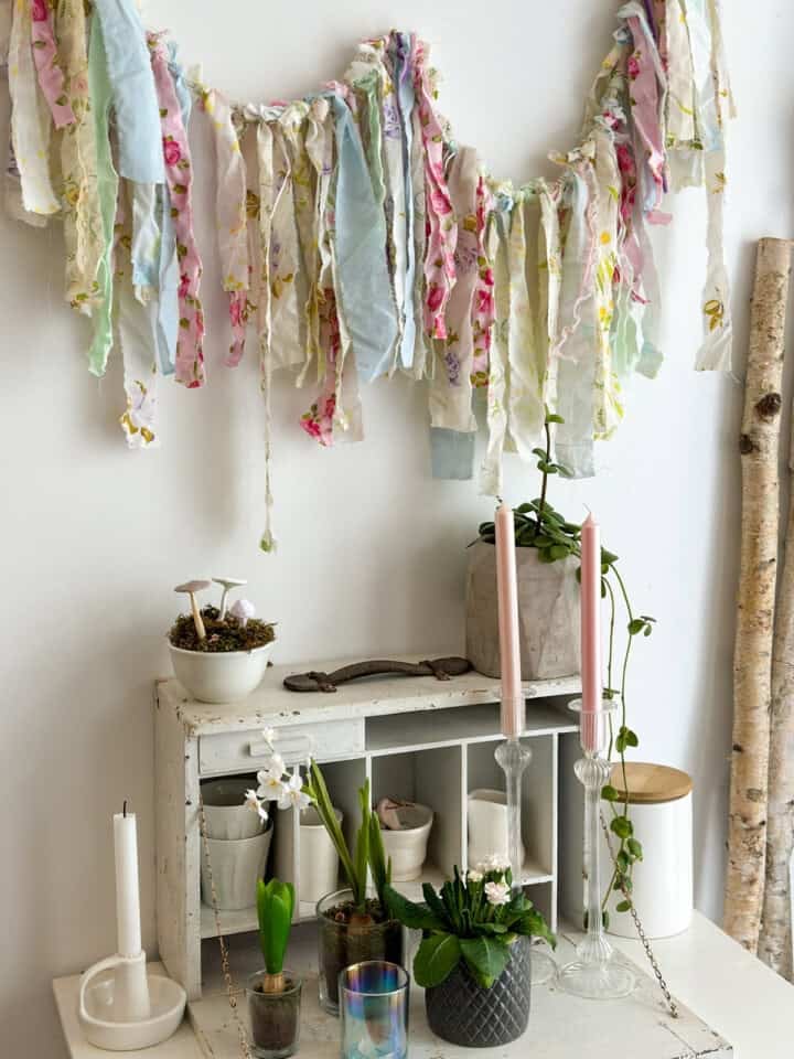 Earth Day Party and Eco-Friendly Entertaining Ideas - Life is a Party