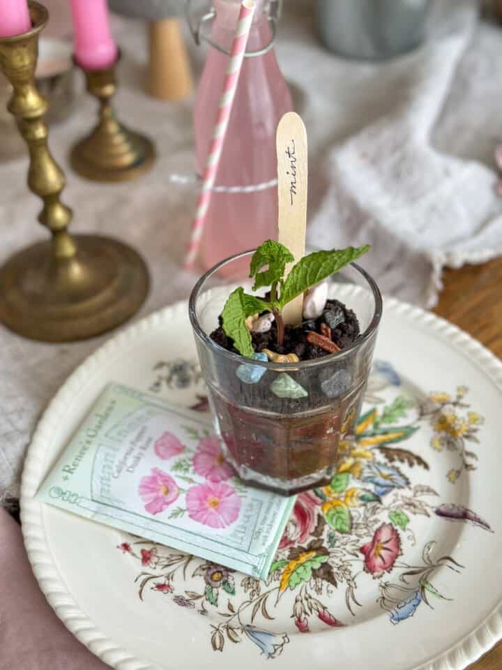 Earth Day Party and Eco-Friendly Entertaining Ideas - Life is a Party