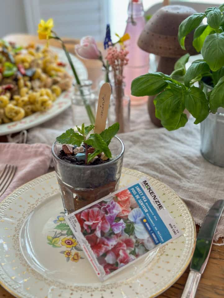 Earth Day Party and Eco-Friendly Entertaining Ideas - Life is a Party